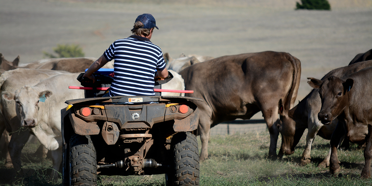 6 Uses for ATVs & UTVs on the Farm or Ranch - ATV Trader Blog